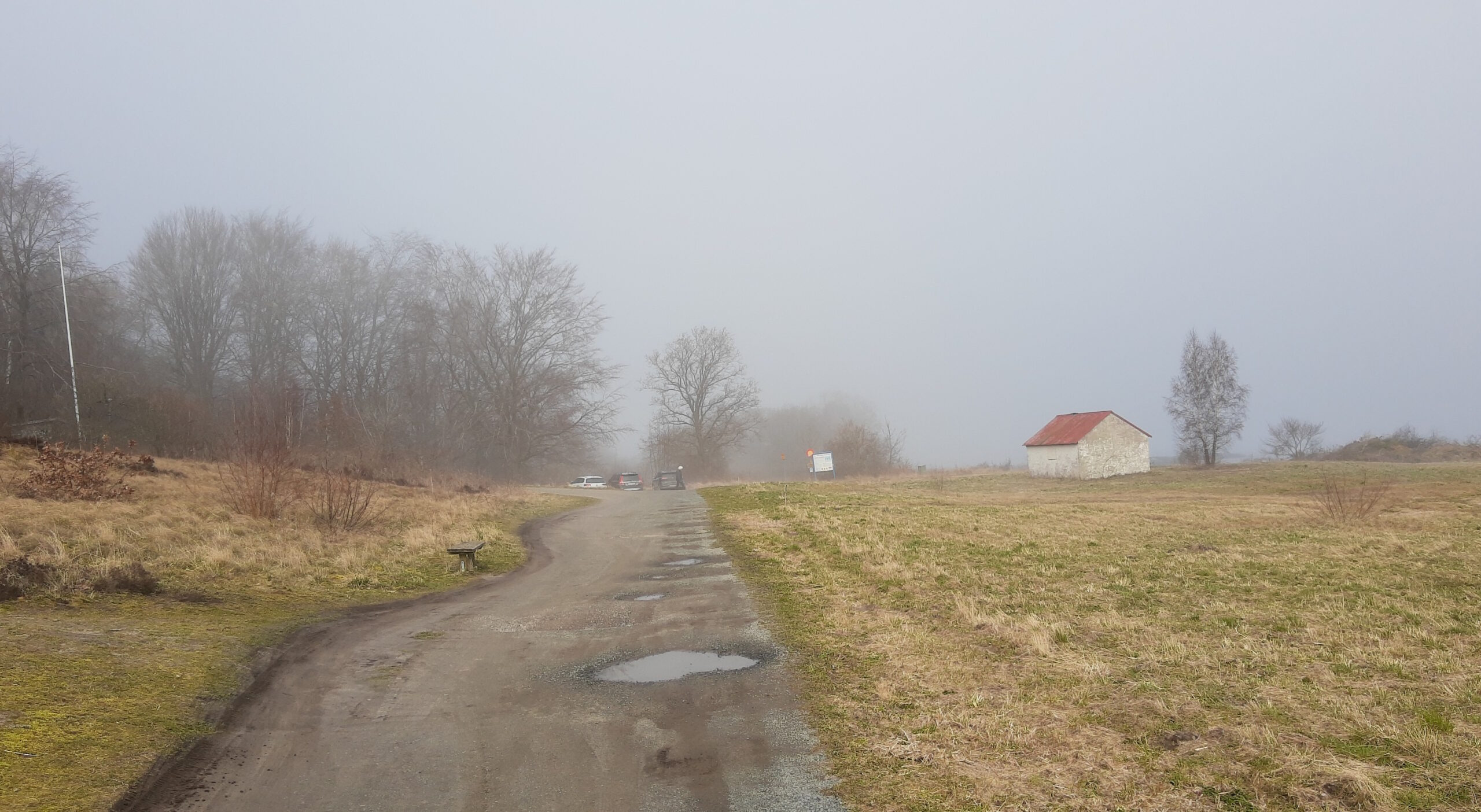 Nyhetsbrev #2 2024 Disabled Refugees Welcome – Rätten Till Arbete ...